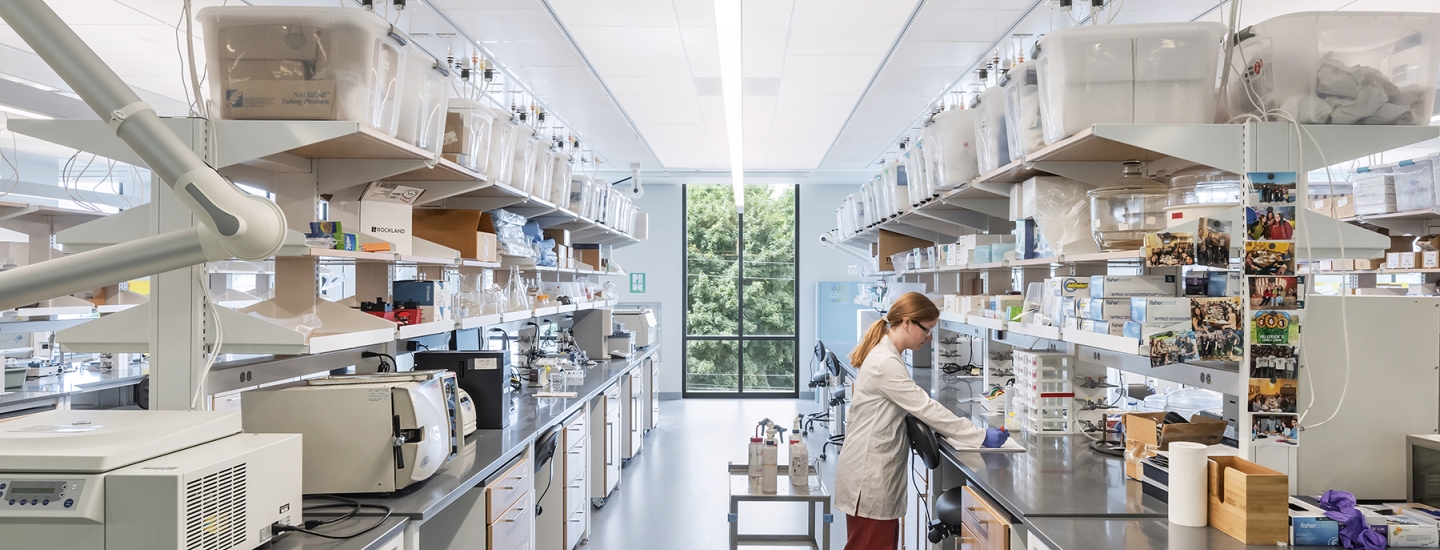Life Sciences | Bala Engineering